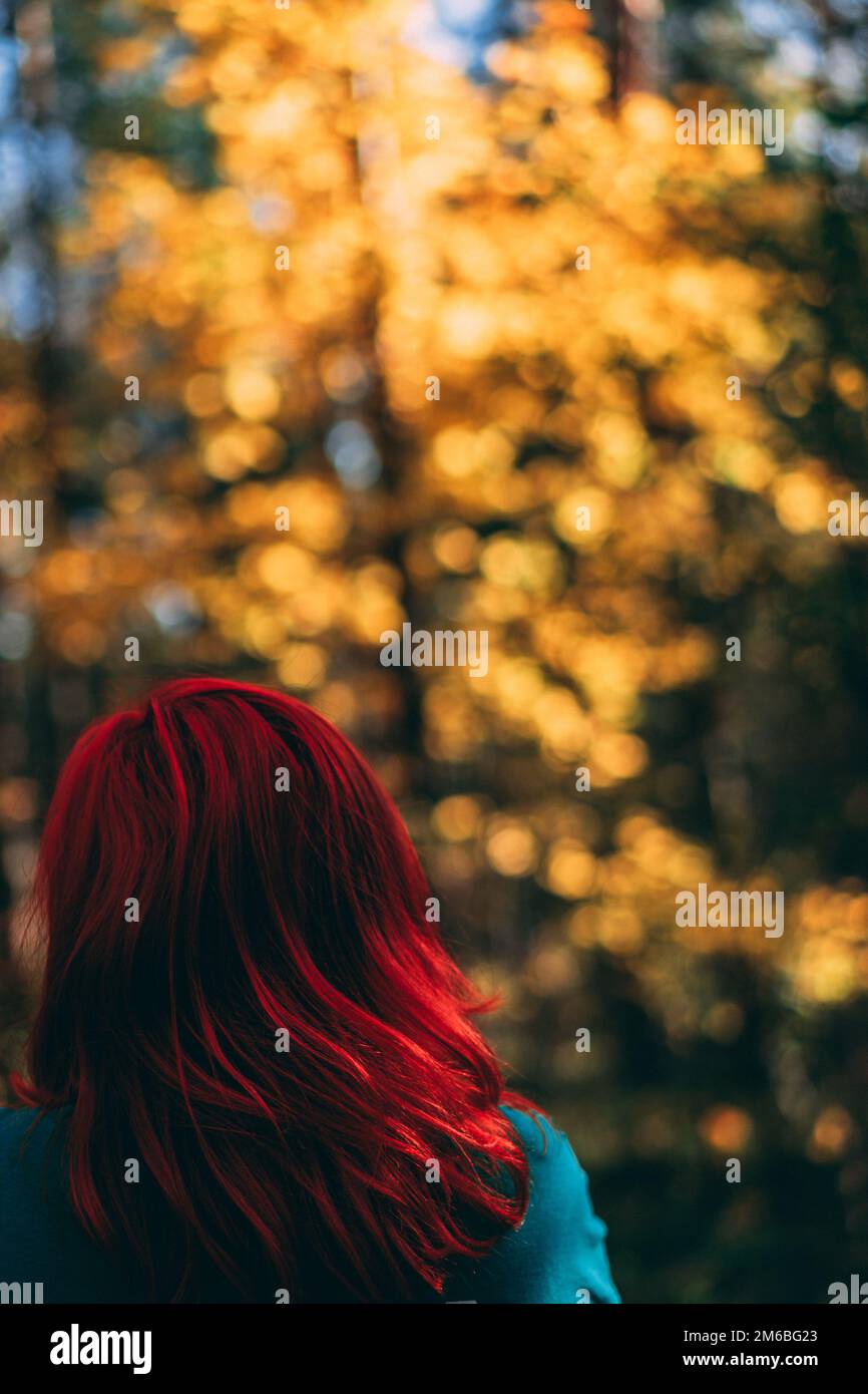 Redhead in forest Stock Photo - Alamy