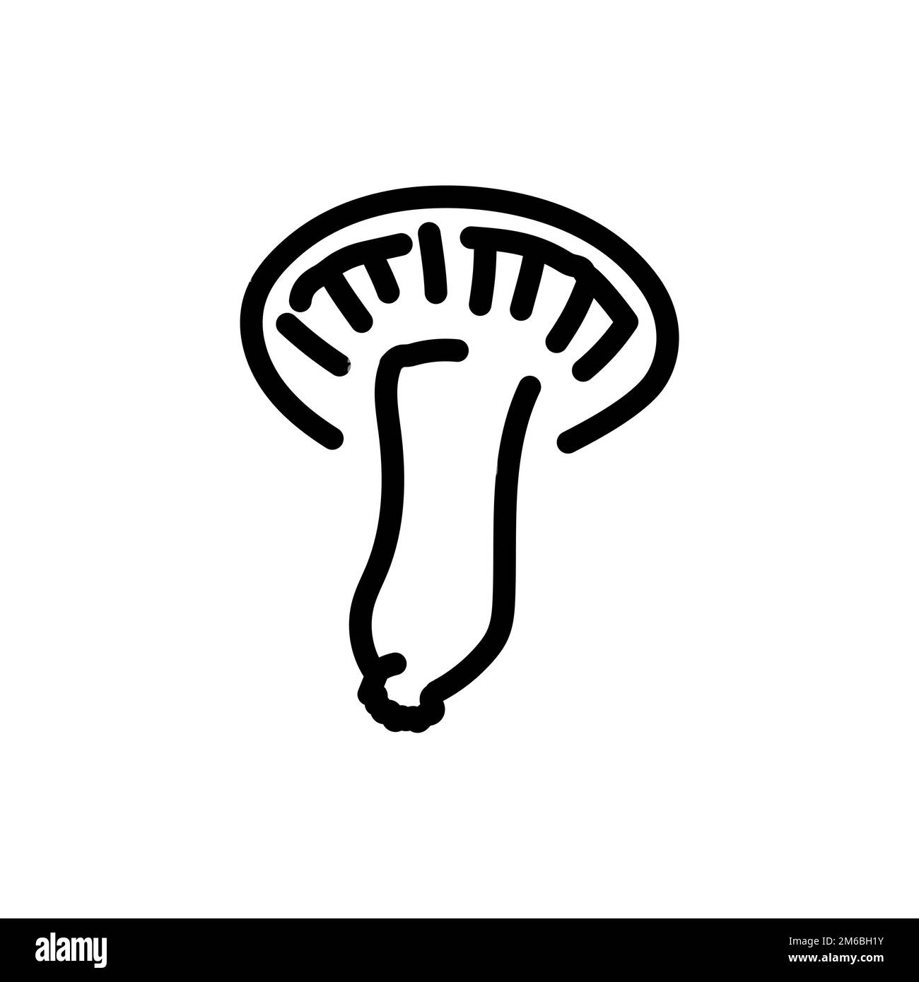 Raw mushroom color line icon. Cooking ingredient. Pictogram for web ...