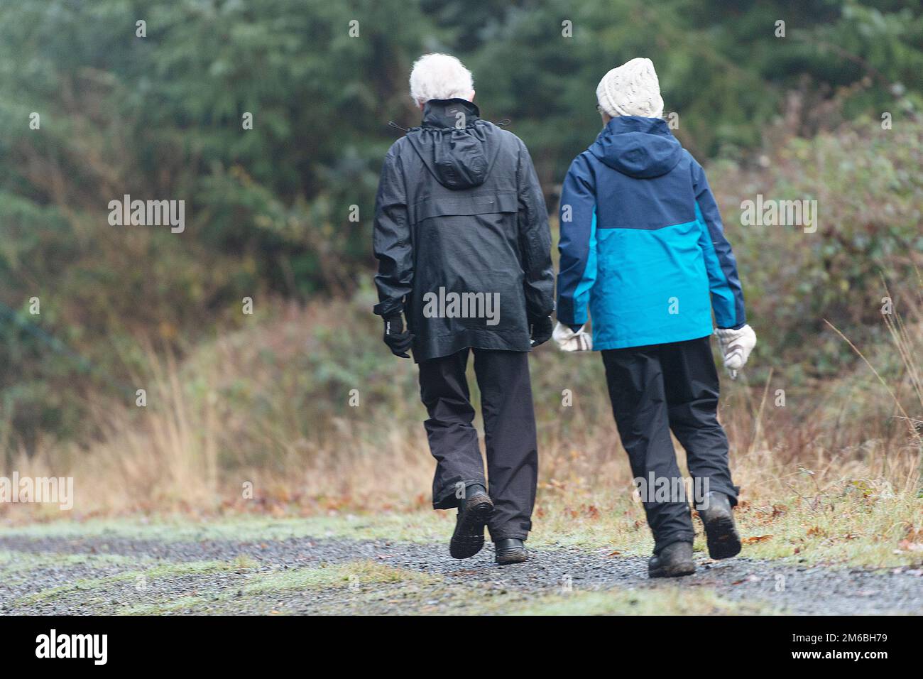 two people walking, rear view Stock Photo - Alamy