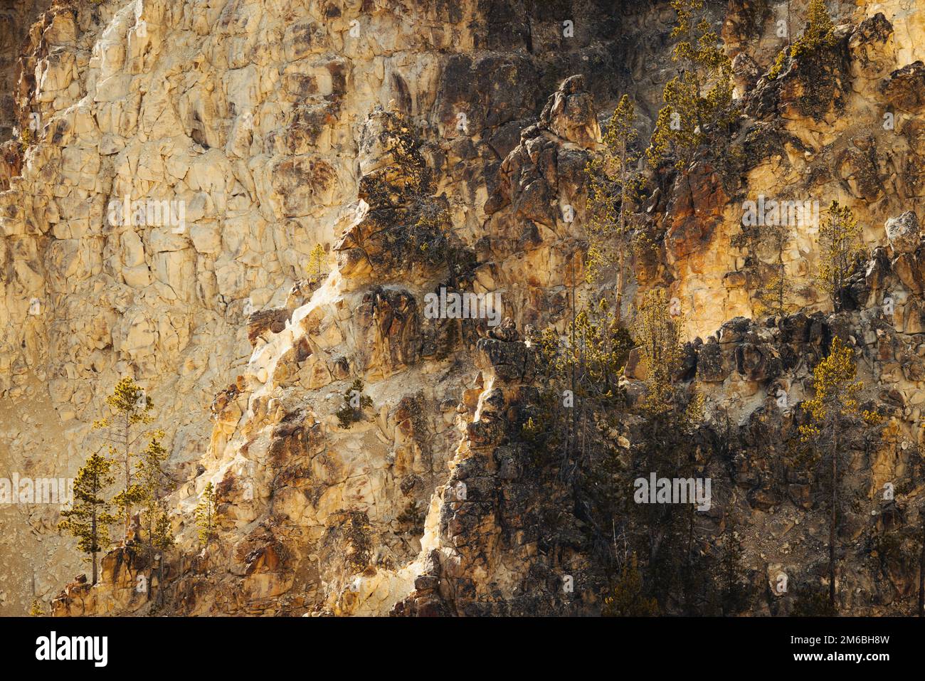 Grand canyon of the yellowstone yellow textured cliff walls with jagged ...