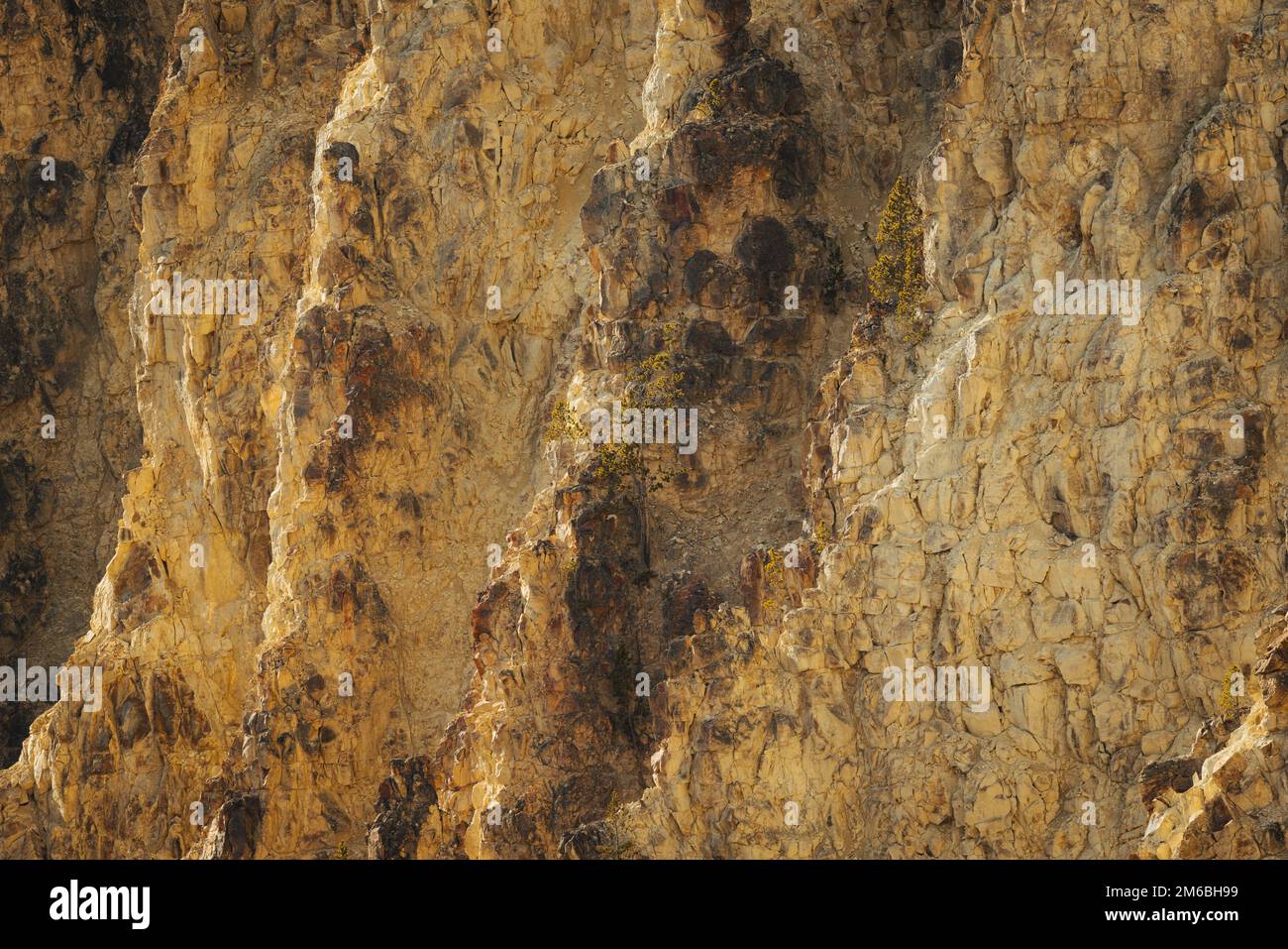 Grand canyon of the yellowstone yellow textured cliff walls with jagged ...