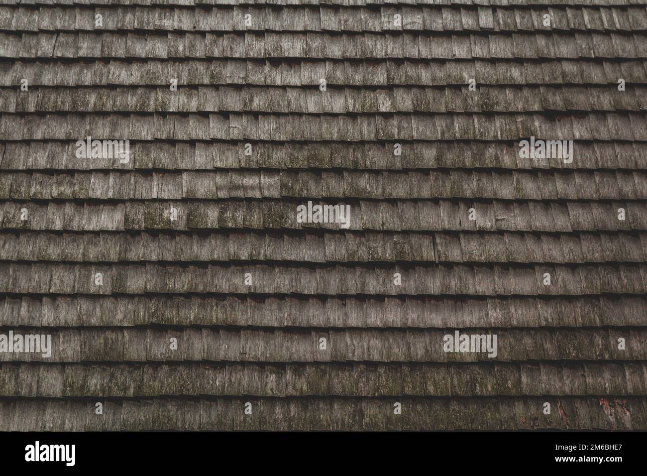 gray weathered wood wall shingles textured background with uniformity ...