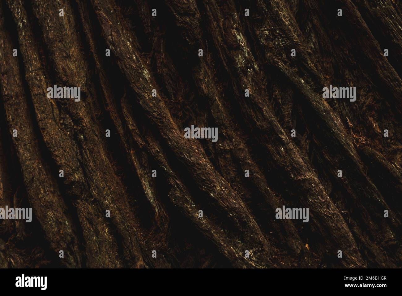 Rough bark backdrop hi-res stock photography and images - Alamy