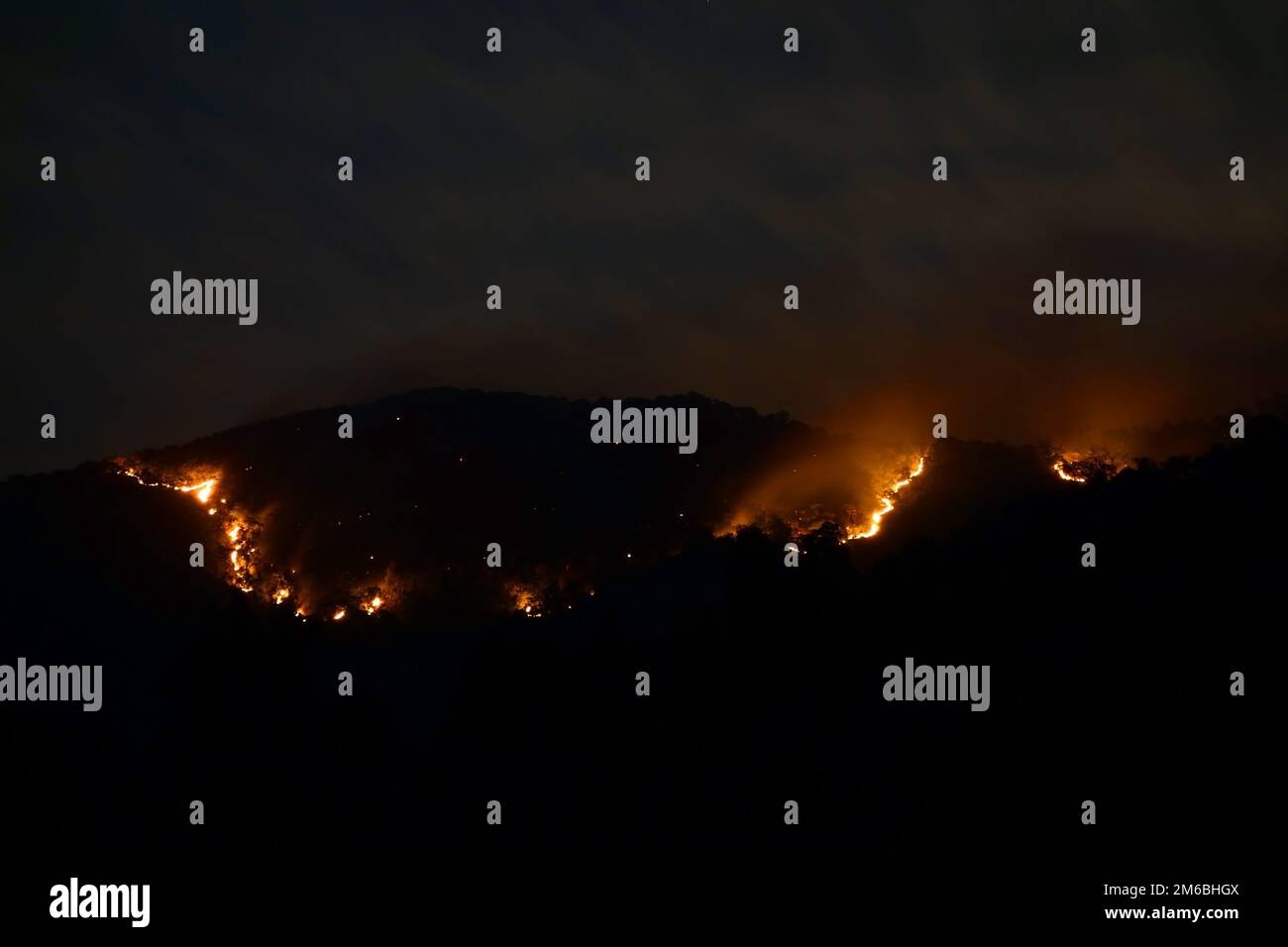 Huge bush fire Stock Photo - Alamy