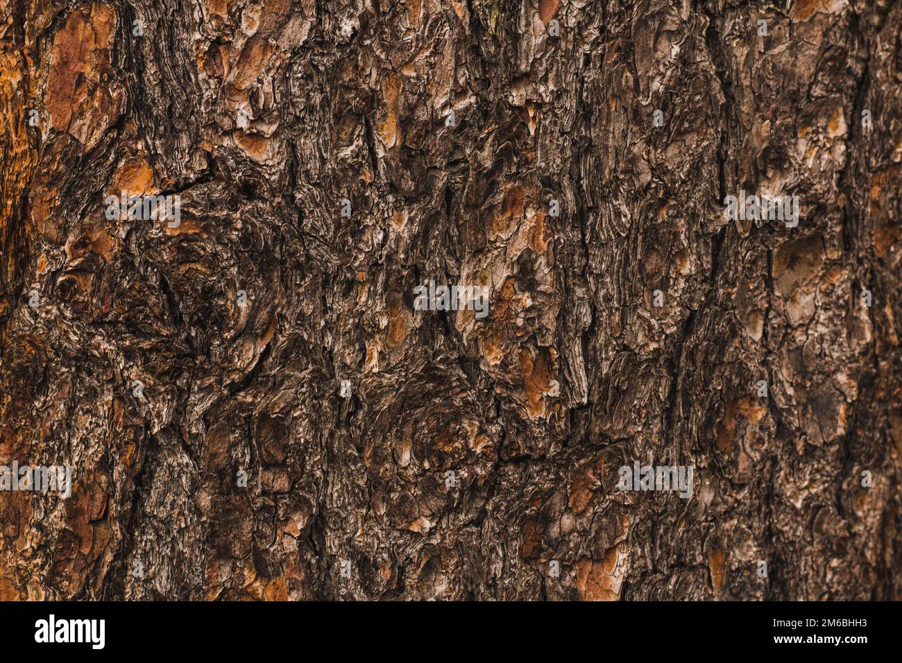 Wall and floor applications hi-res stock photography and images - Alamy