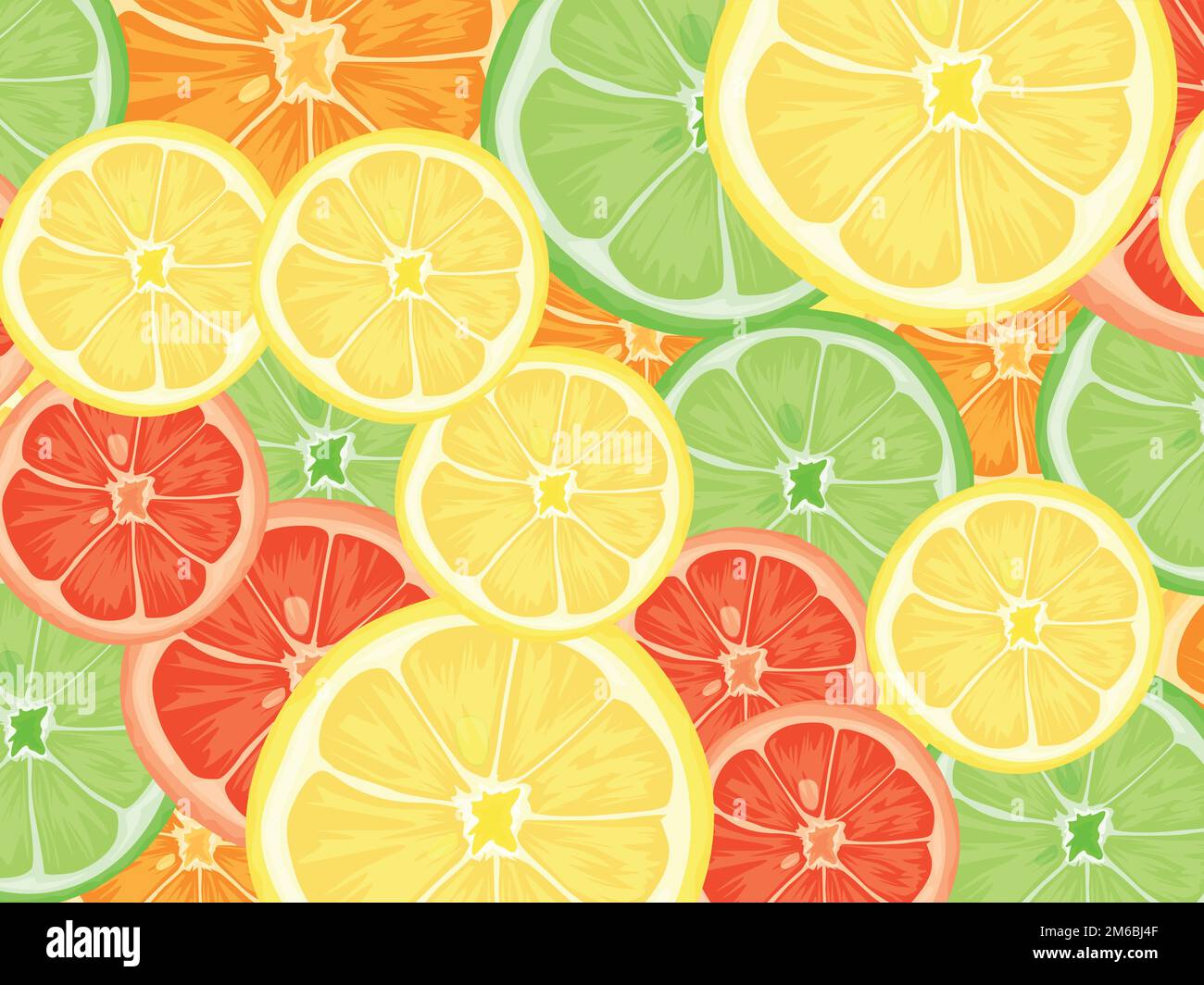 Citrus slices of lemon, orange, lime and grapefruit. Vector ...