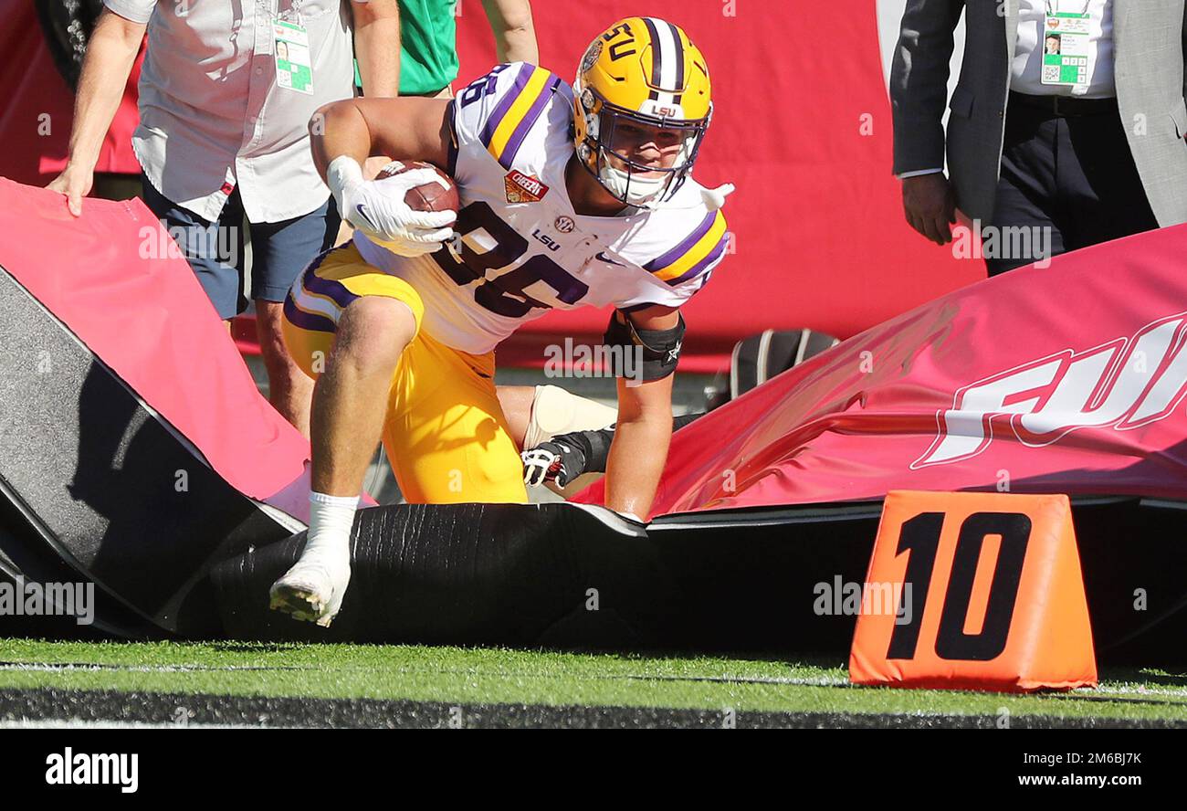LSU tight end Mason Taylor falls into the sideline advertising fencing ...