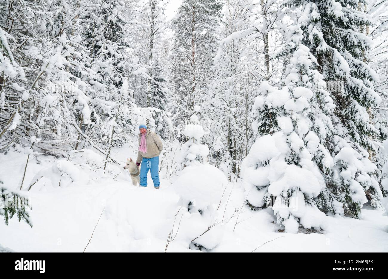 The woman with a dog on walk in a winter wood Stock Photo - Alamy