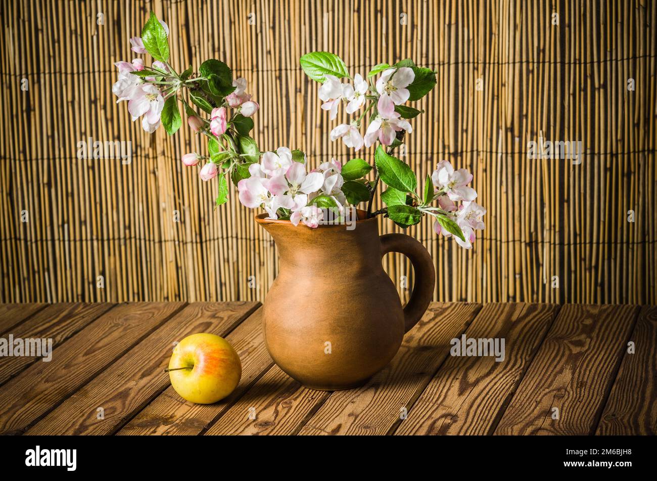 Ripe apple and blossoming branch of an apple-tree in a clay jar, close ...