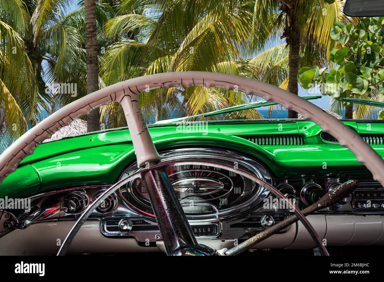 Cuba Interior view of a green classic car with palm trees and ...