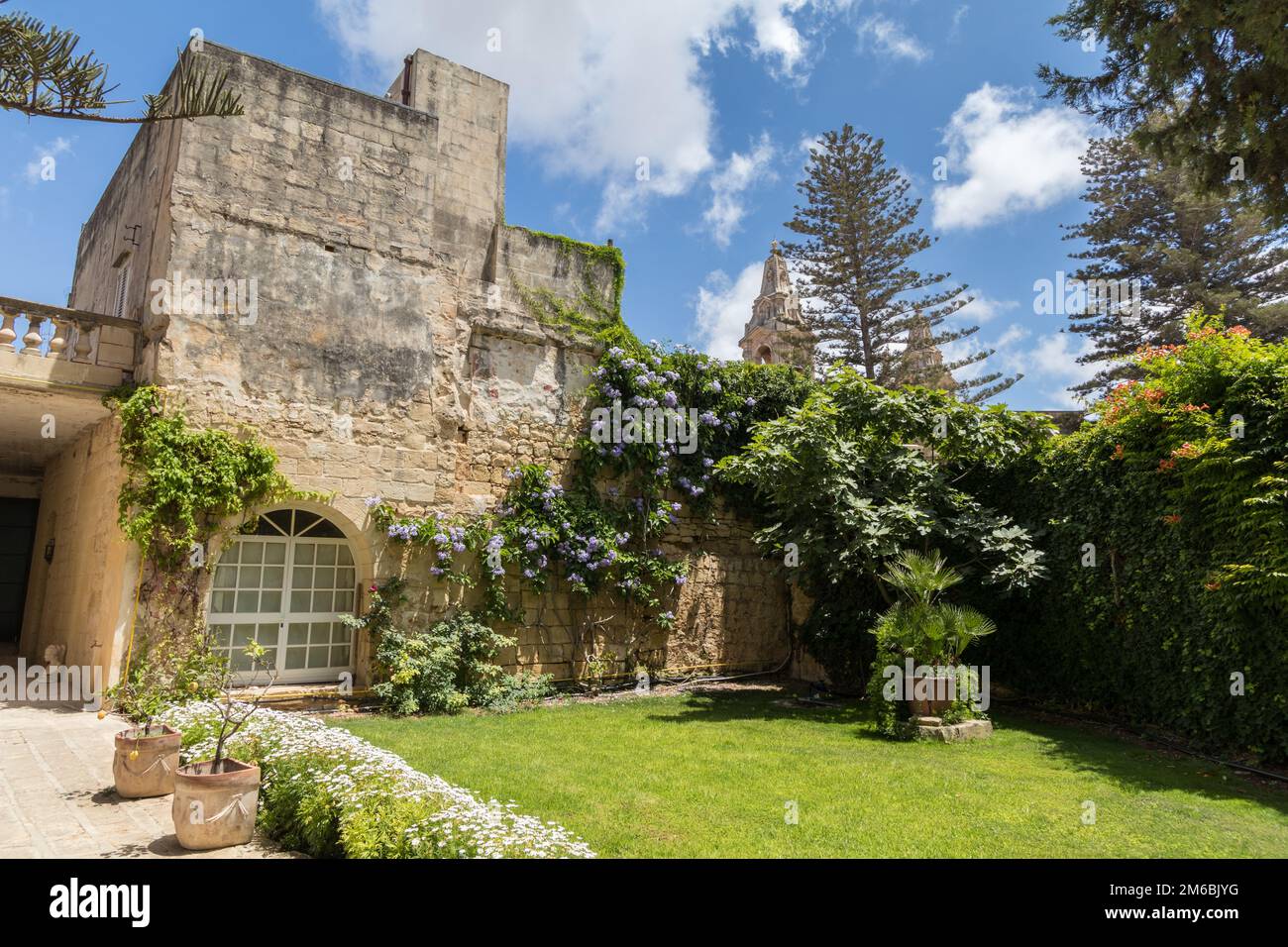Beautiful limestone wall with vines in front of Naxxar parish church ...