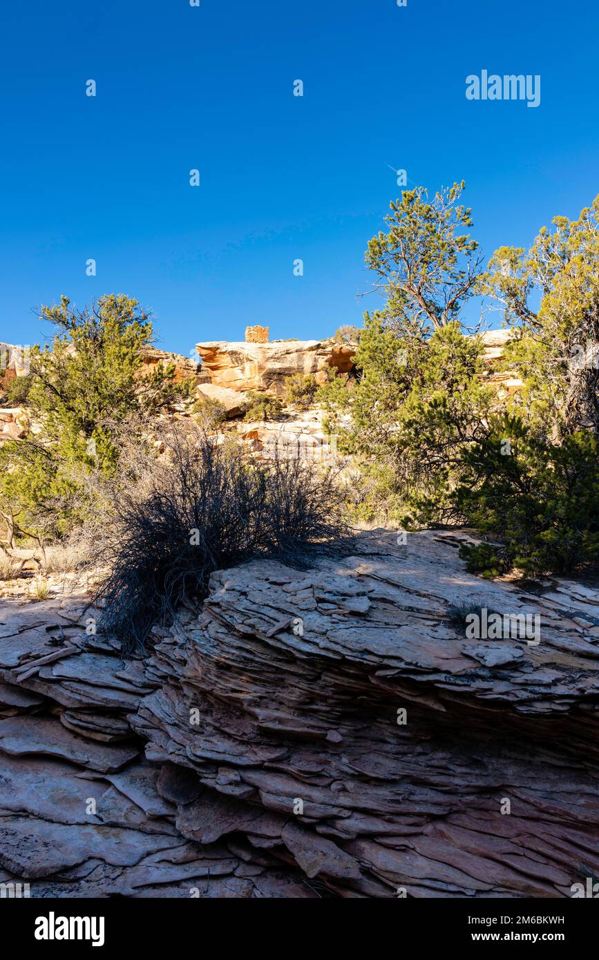 Rim Ruin. Backpacking in Grand Gulch and viewing Anasazi dwellings and ...