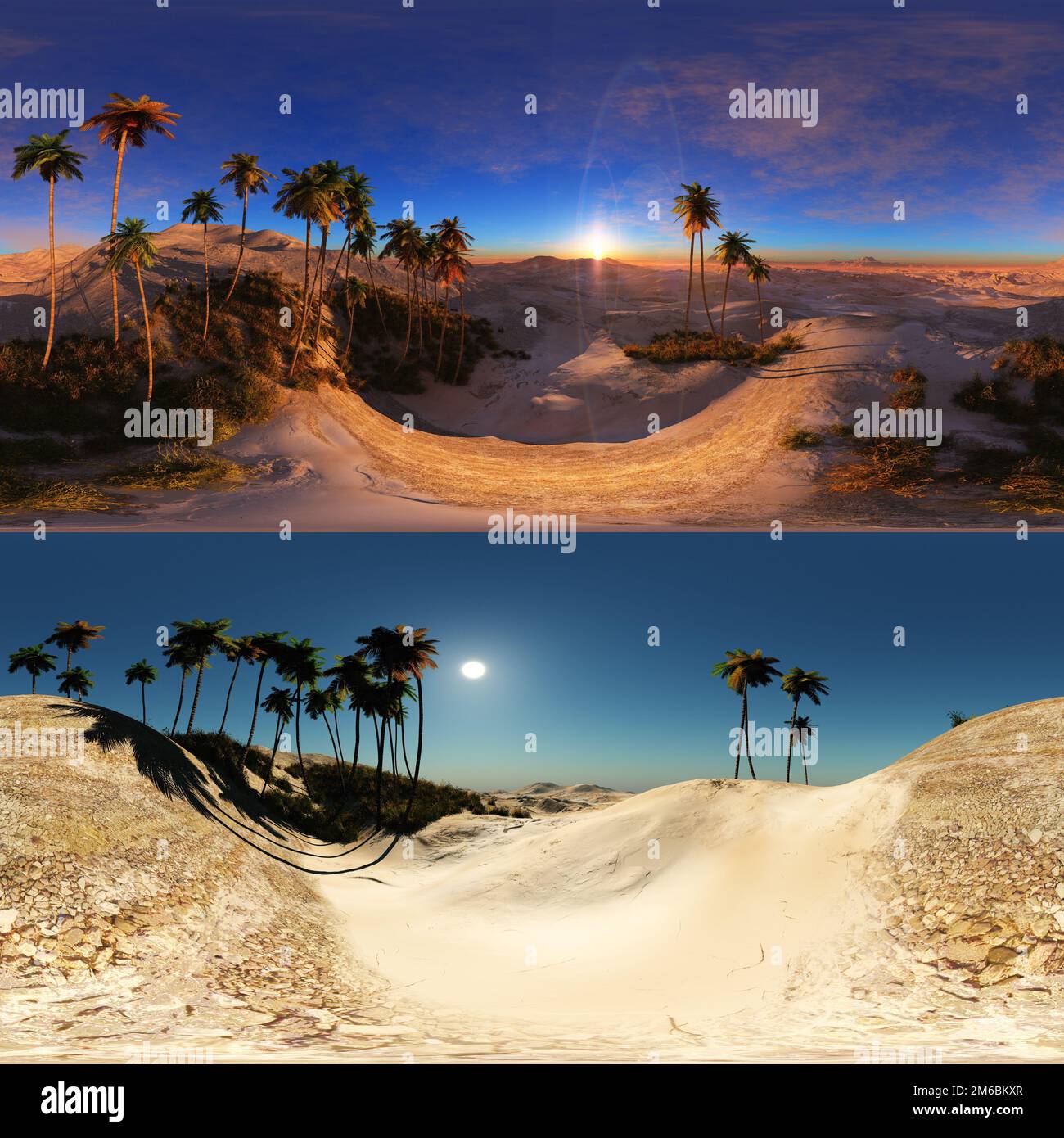 Panoramic of palms in desert. made with the one 360 degree lense camera ...