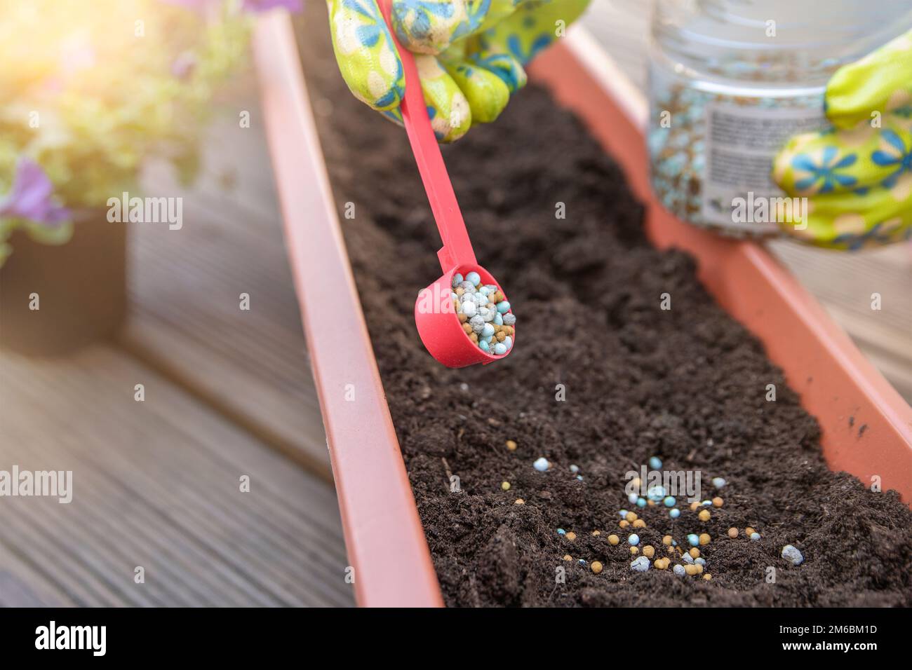 Fertilizers for flowers. The process of feeding flowers before planting ...
