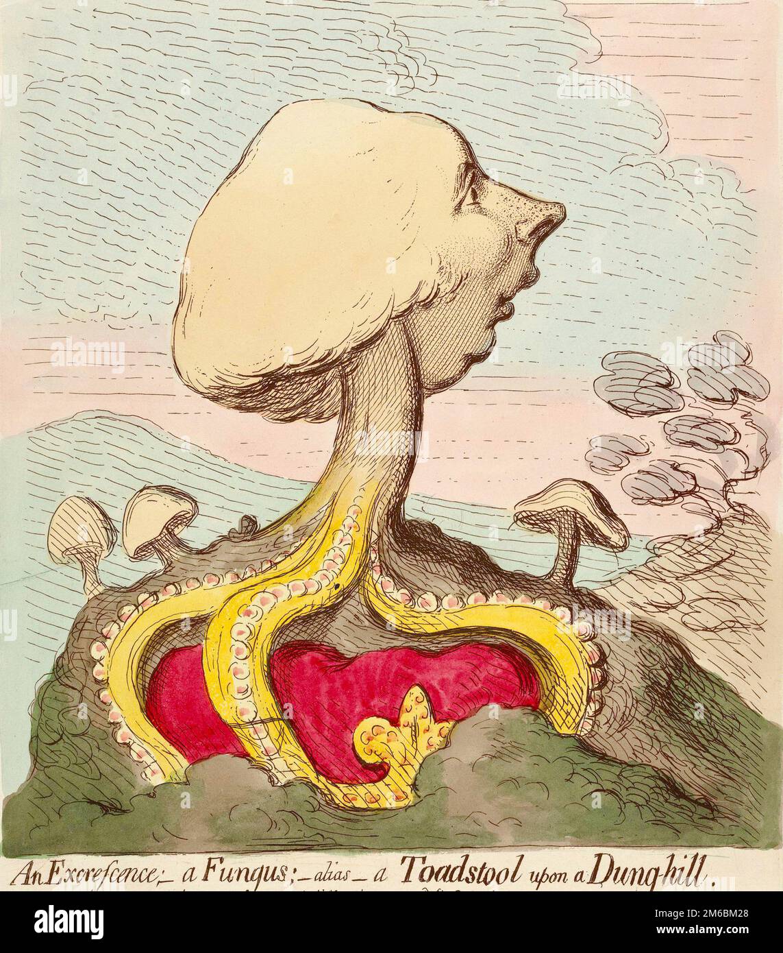 James Gilray - A Toadstool Upon a Dung Hill - 1791 Stock Photo - Alamy