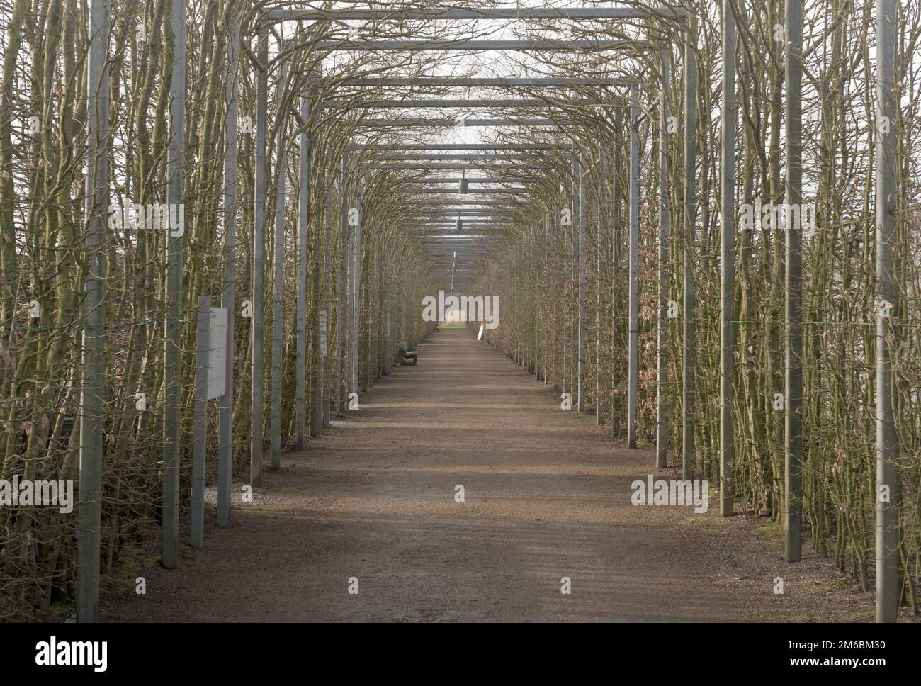 Neutral perspective hi-res stock photography and images - Alamy