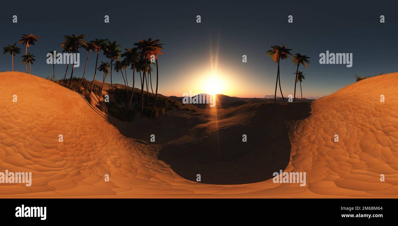 Panorama of palms in desert at sunset. made with the one 360 degree ...