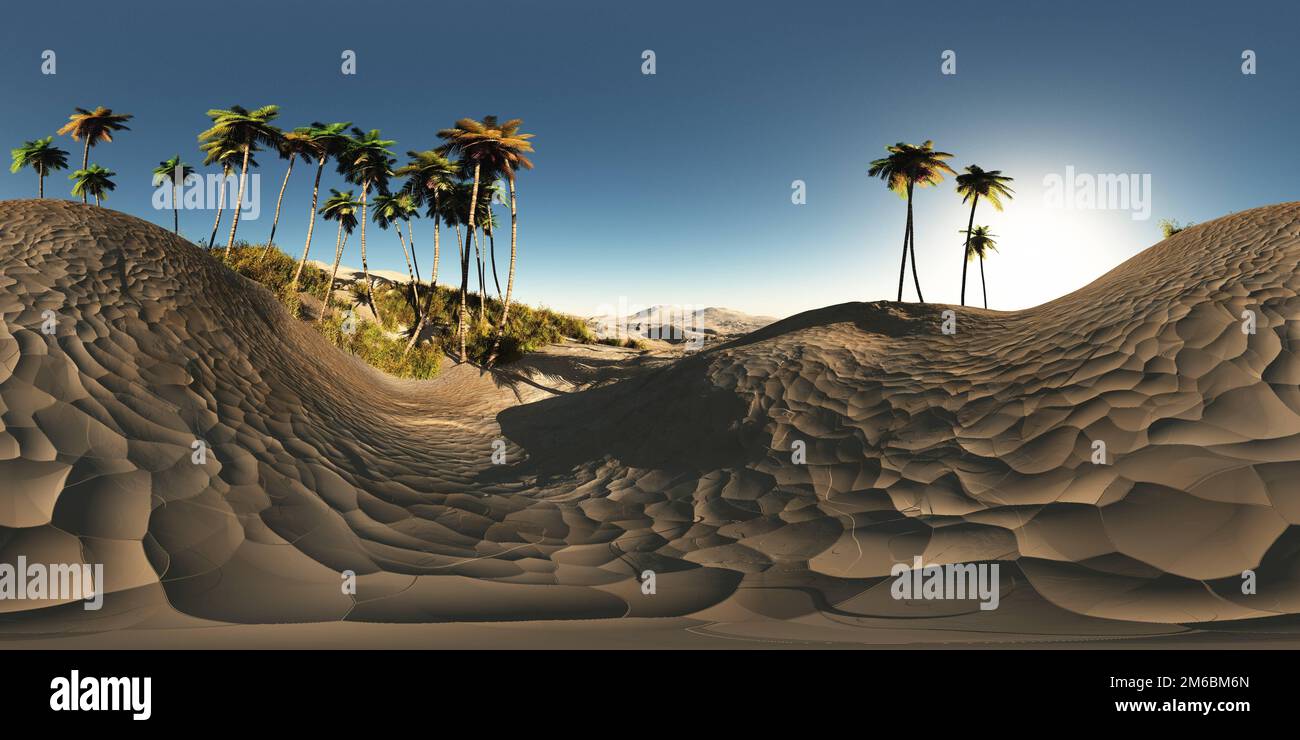 Panorama of palms in desert. made with the one 360 degree lense camera ...