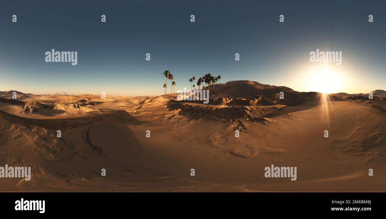 Panorama of palms in desert at sunset. made with the one 360 degree ...