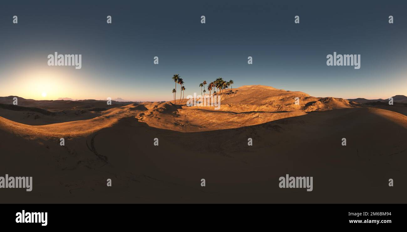Panorama of palms in desert at sunset. made with the one 360 degree ...