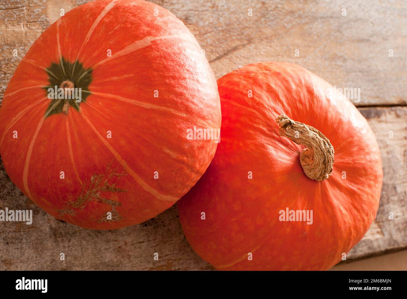 Top two pumpkins hi-res stock photography and images - Alamy