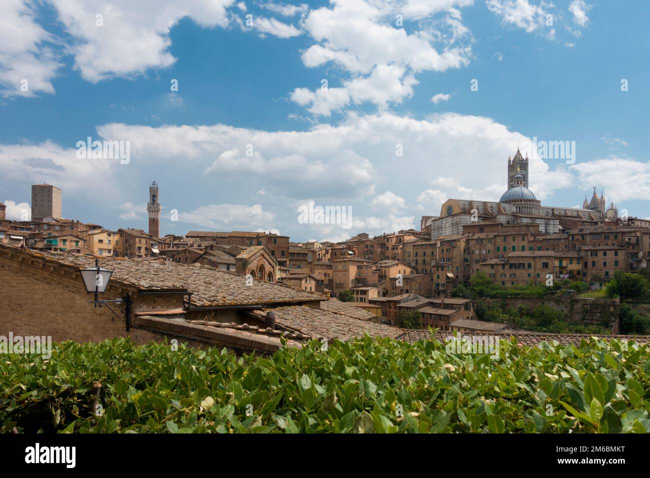 Siena historic center hi-res stock photography and images - Alamy