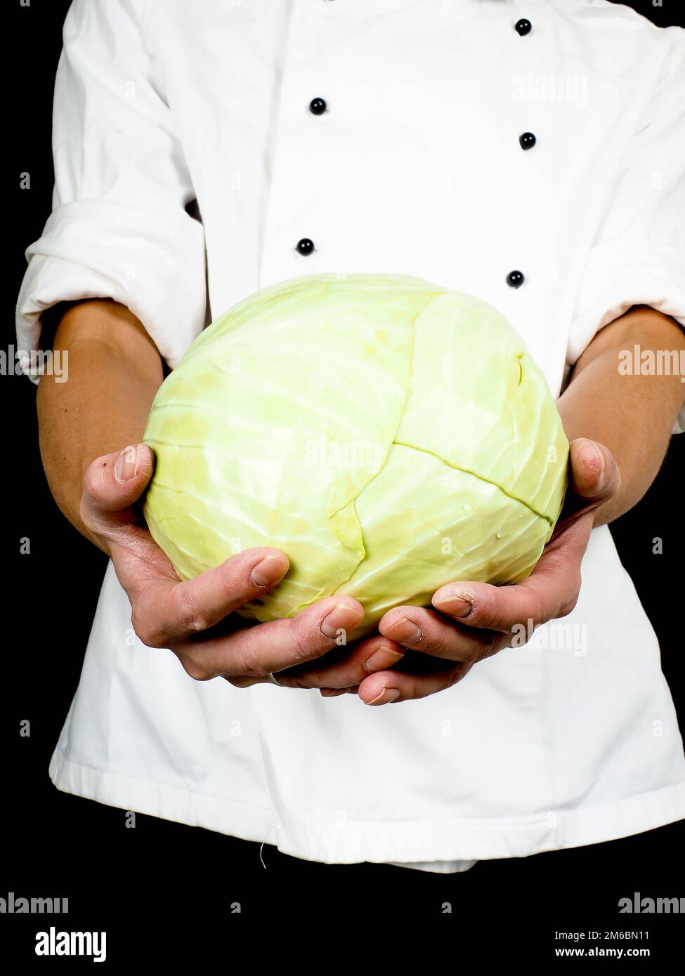 Professional chef holding a whole head of cabbage Stock Photo - Alamy