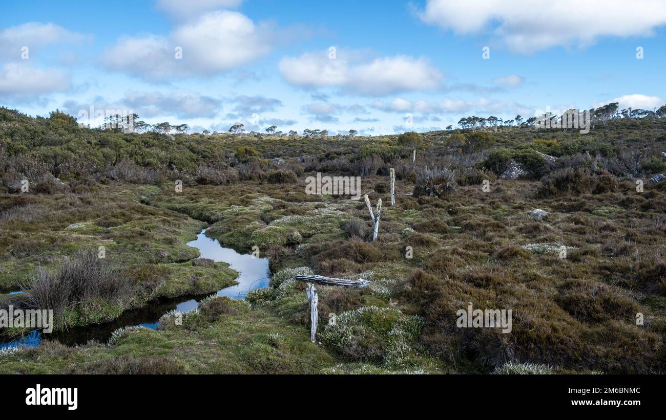 A meandering creek follows an old fence line in the Walls of Jerusalem ...