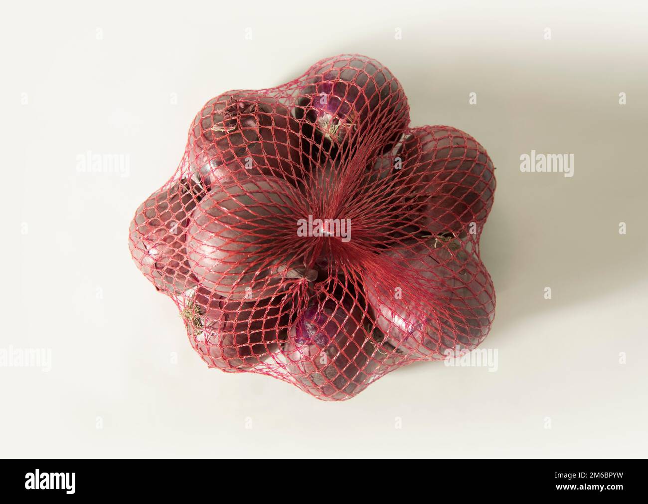 Red onion on a white background in a grid - natural 01 Stock Photo - Alamy