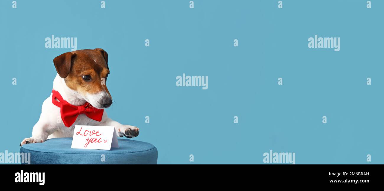 Jack Russel terrier and letter with text LOVE YOU on pouf against blue ...