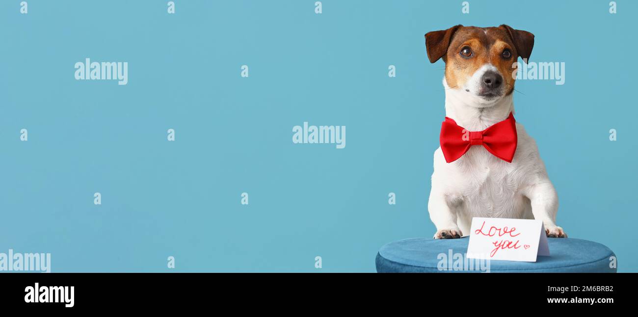 Jack Russel terrier and letter with text LOVE YOU on pouf against blue ...