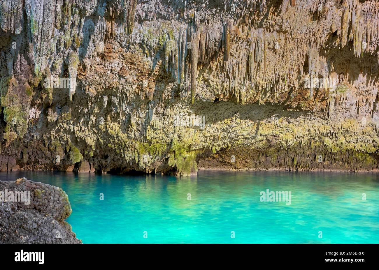 Interior of a cenote in Yucatan Peninsula, Mexico Stock Photo - Alamy