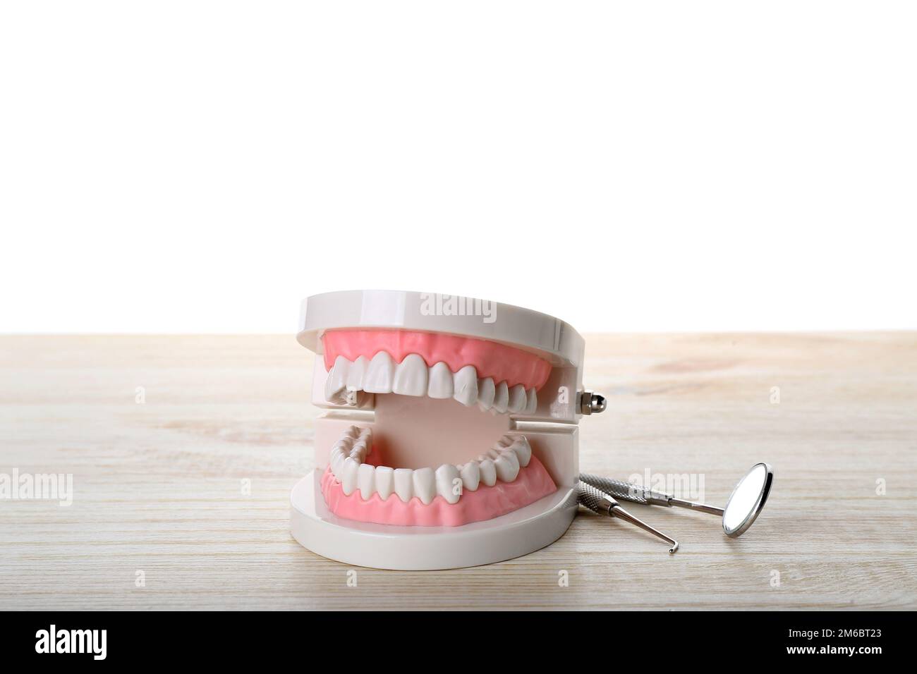 Jaw model with dentist's tools on table against white background Stock ...