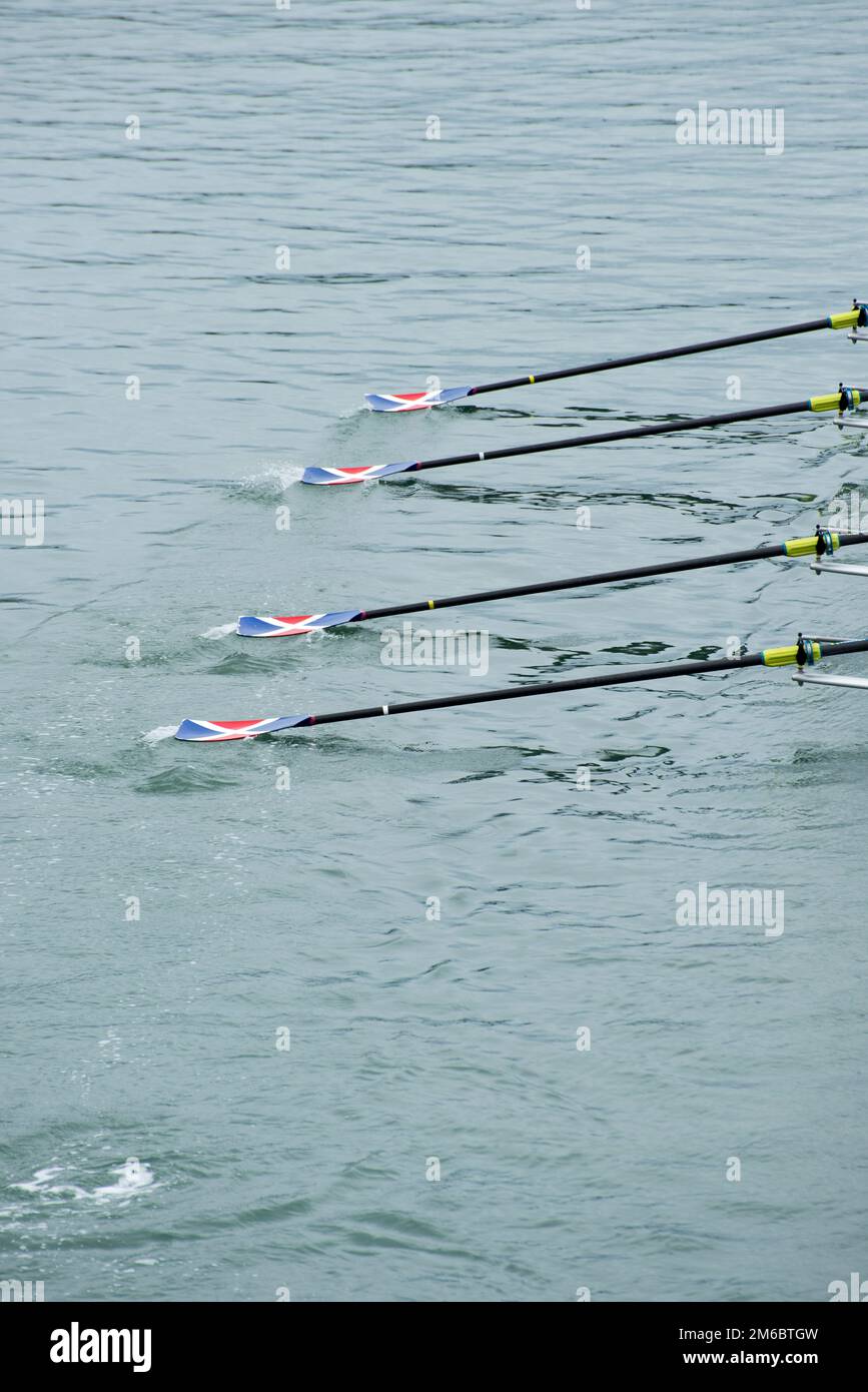 Rowing competition face hi-res stock photography and images - Alamy