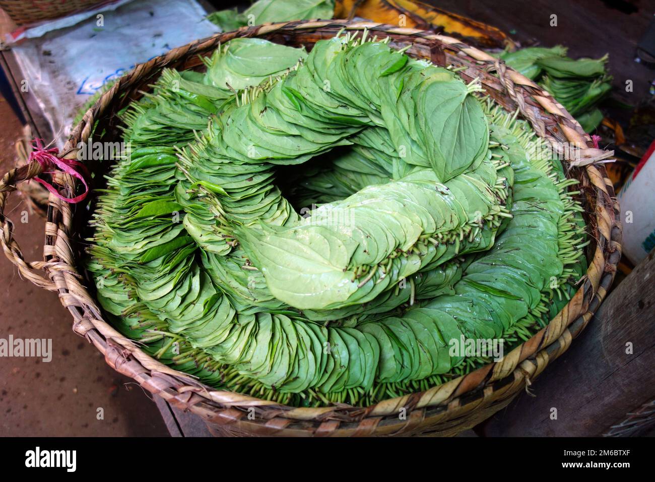 Betel leaves hi-res stock photography and images - Alamy