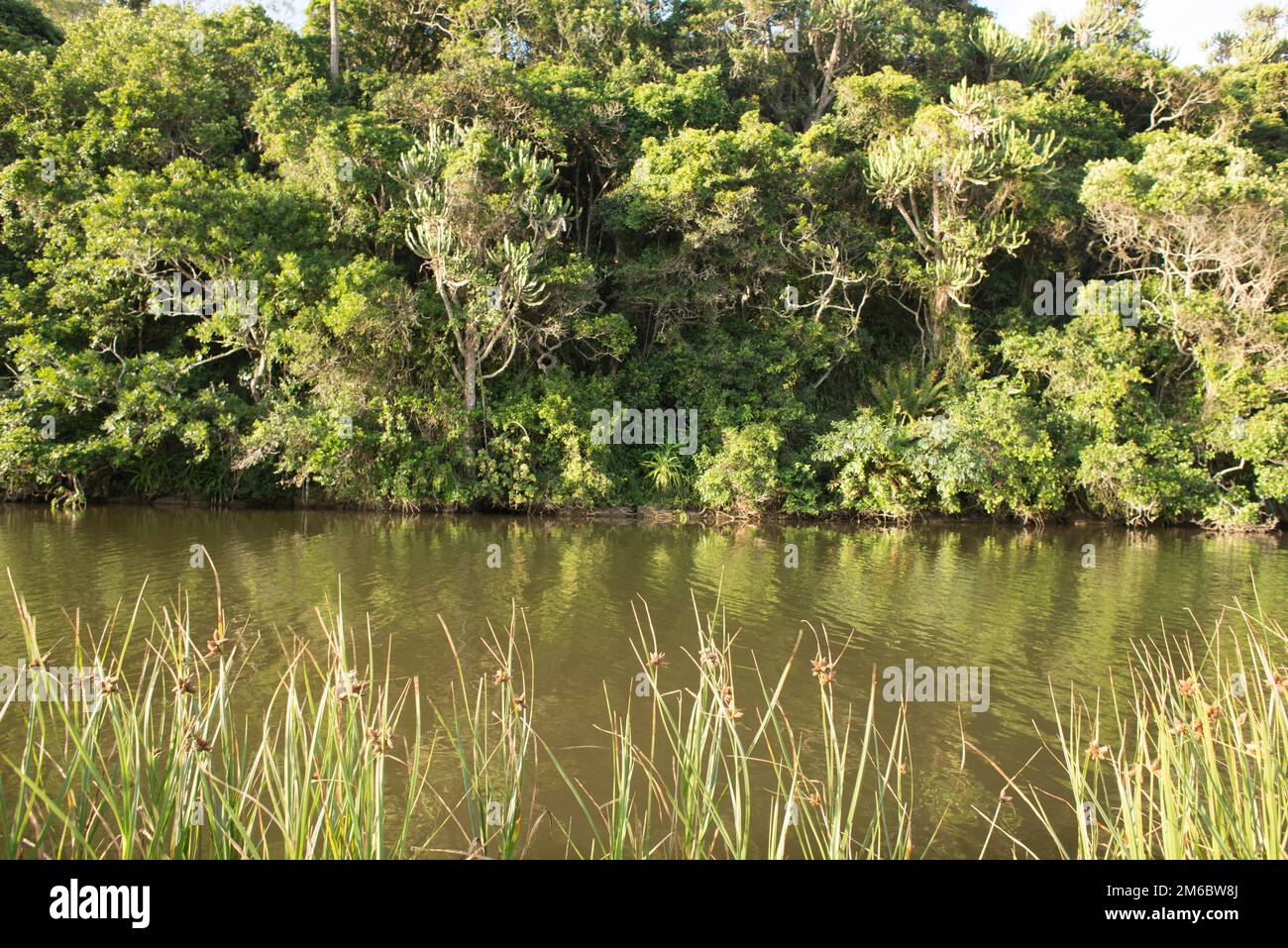 South bank side river hi-res stock photography and images - Alamy