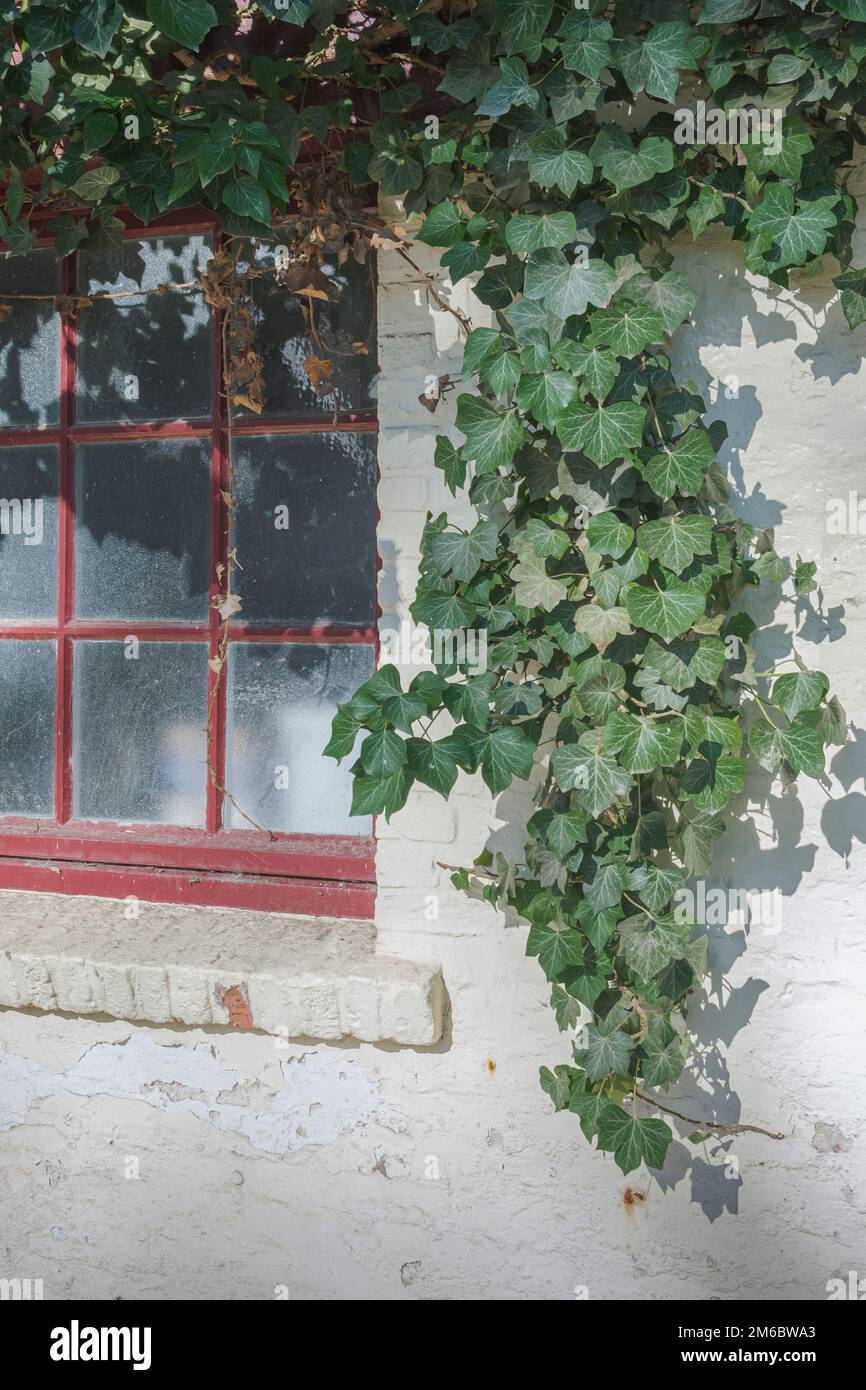 Window of appearance hi-res stock photography and images - Alamy