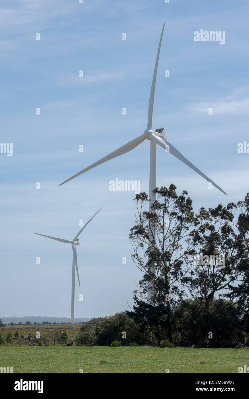 Wind Turbines Behind Trees Stock Photo - Alamy