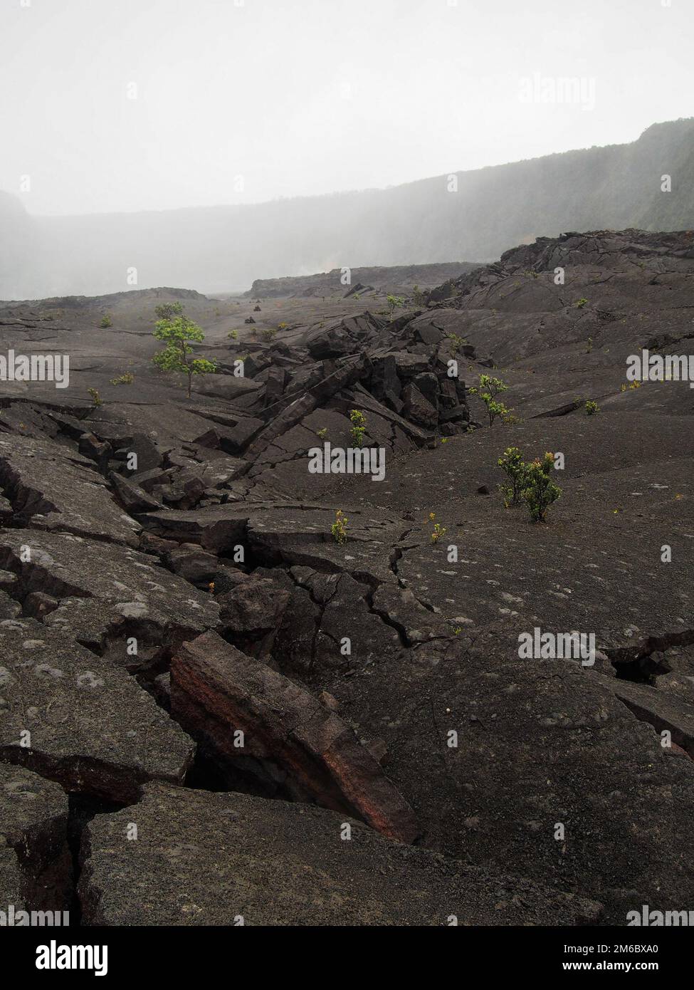 Cracked Volcanic Ground at Volcanoes National Park in Hawaii Stock ...