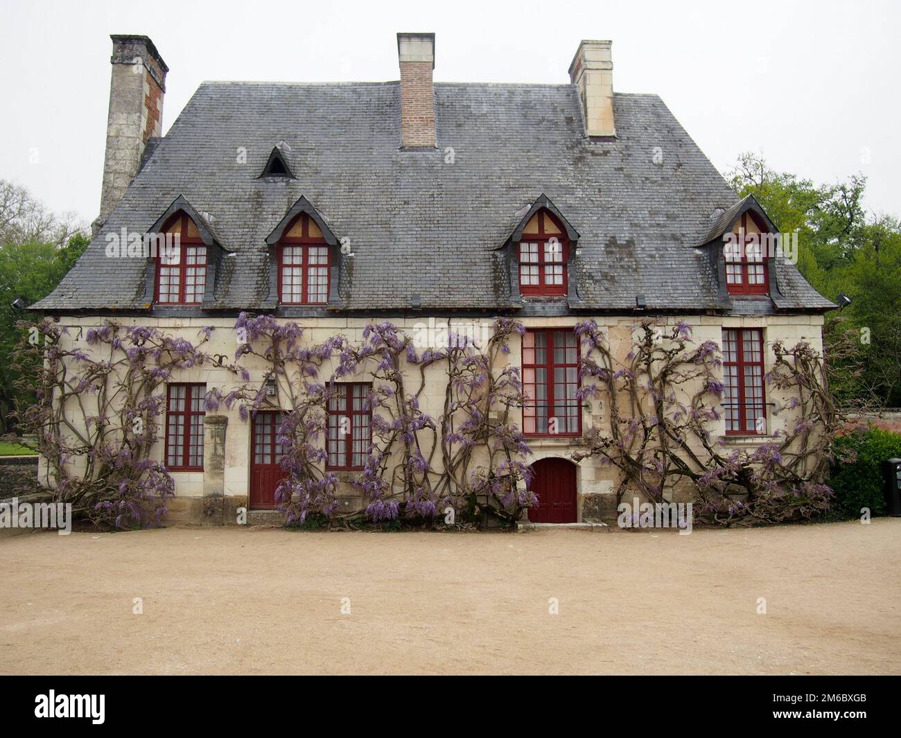 Quaint French House Covered in Wisteria Stock Photo - Alamy