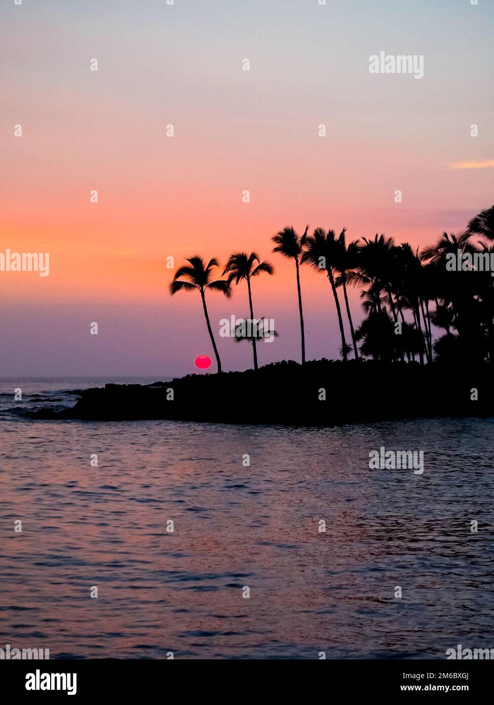 Silhouette of Palm Trees at Sunset Stock Photo - Alamy
