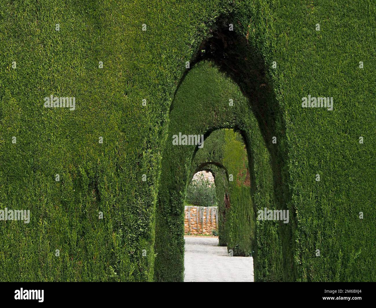 Topiary arch hi-res stock photography and images - Alamy