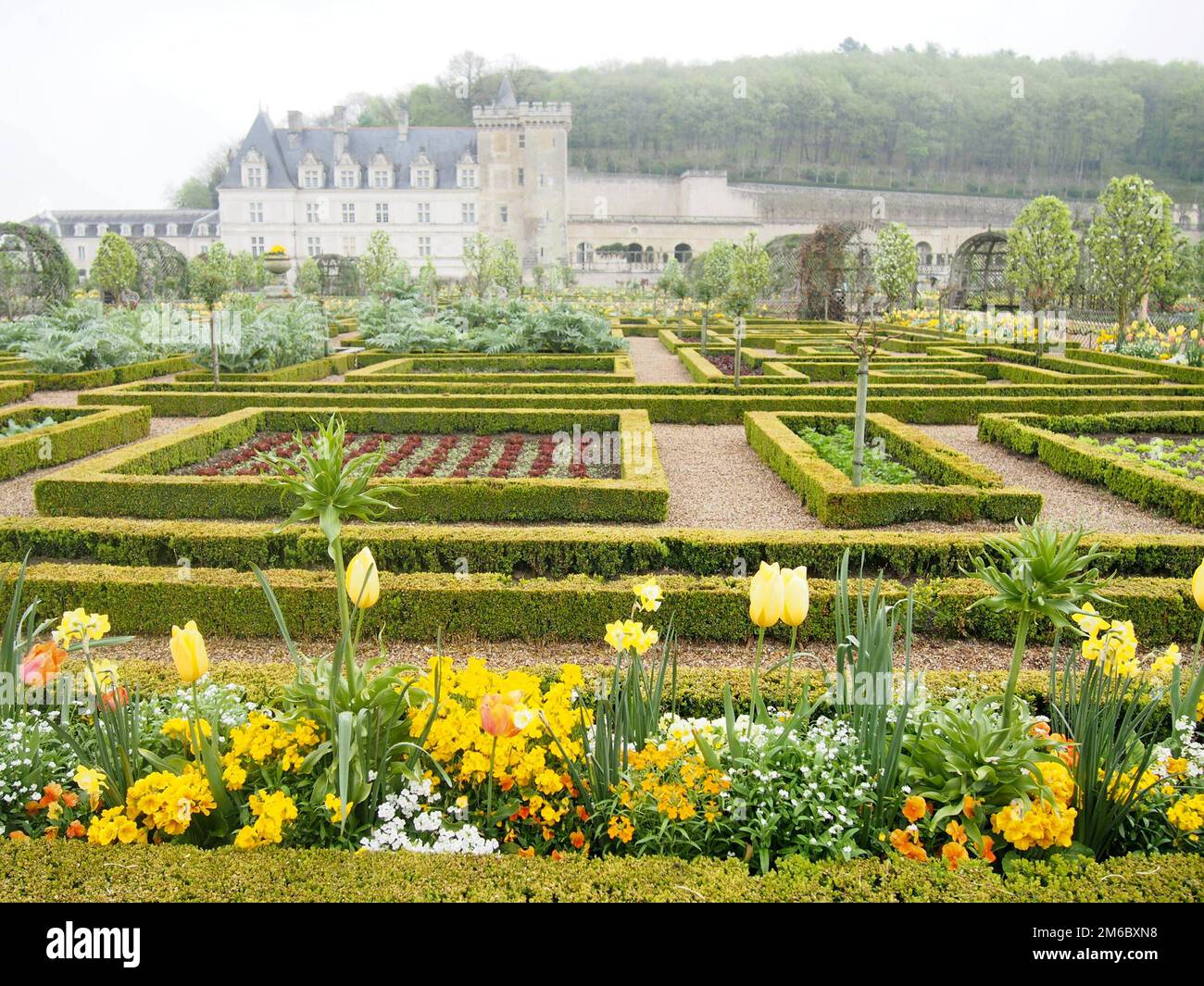 Formal Gardens at Villandry Chateau France Stock Photo - Alamy