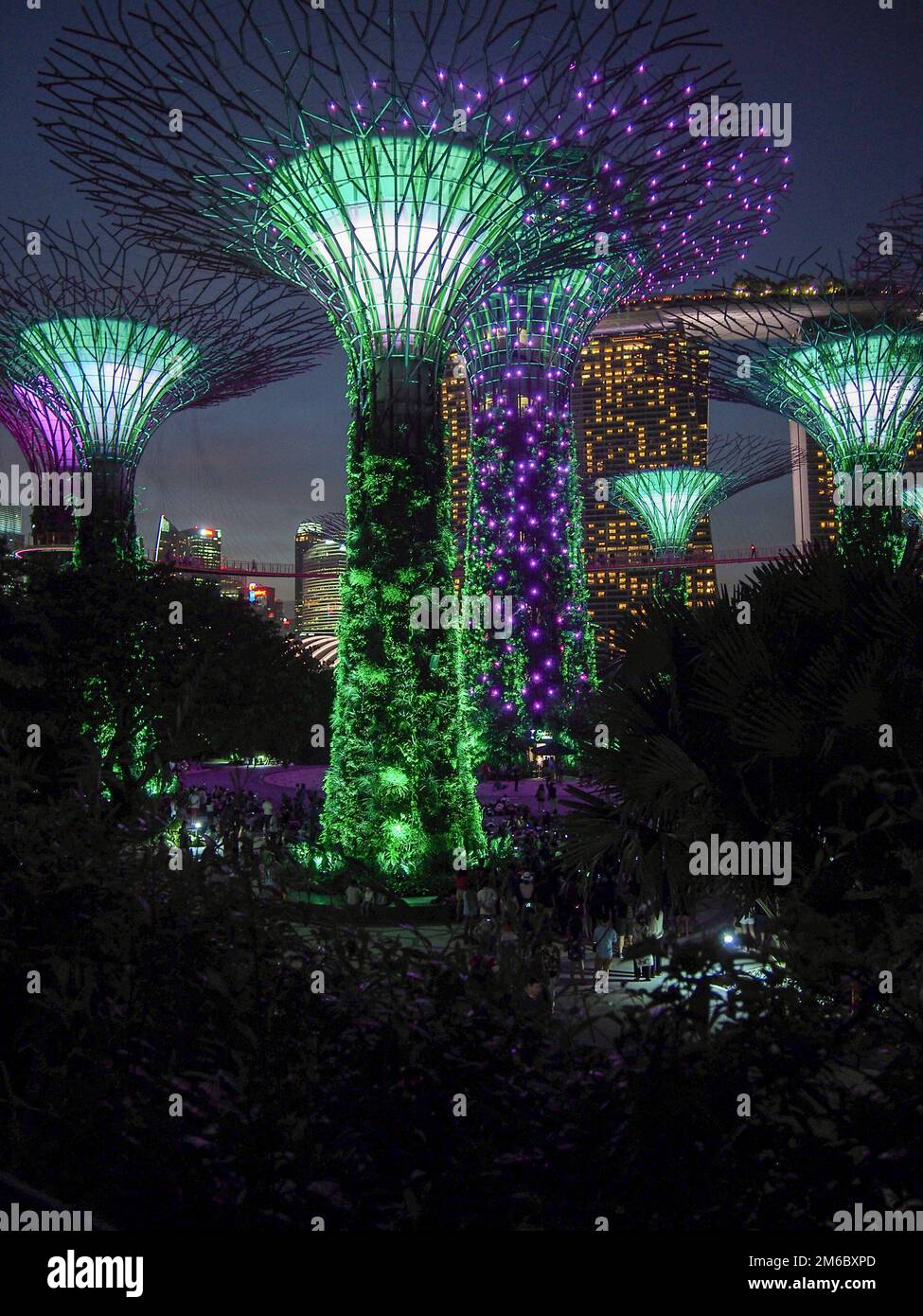 Singapore Supertrees Wiki at Carlo Simmons blog