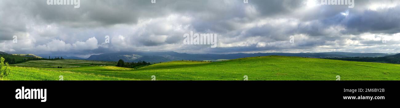 Plateau pasture hi-res stock photography and images - Alamy