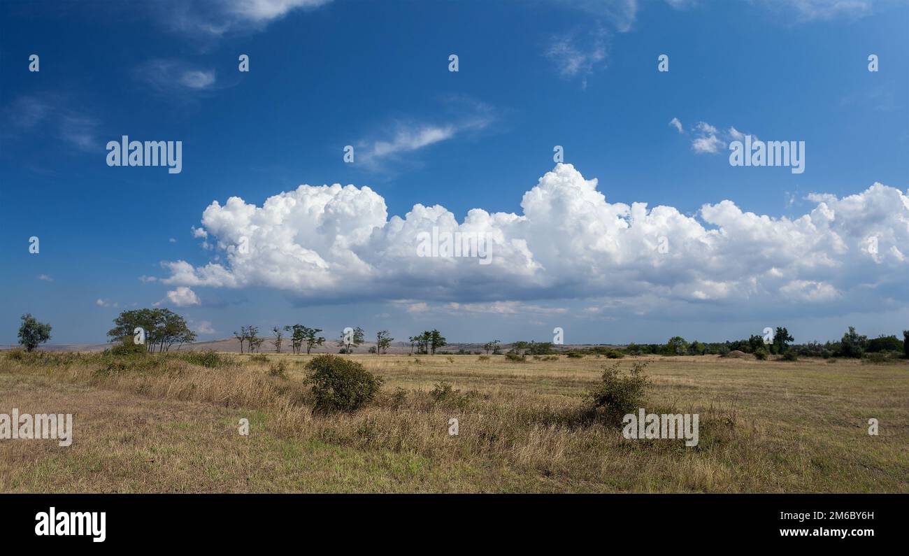 Beautiful steppe landscape Stock Photo - Alamy