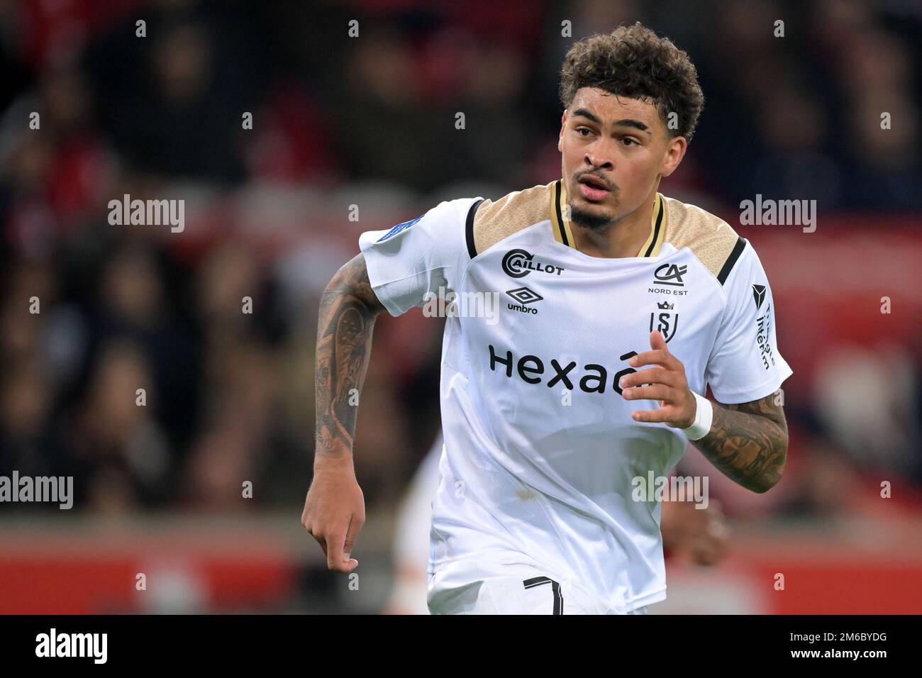 LILLE - Noah Holm of Stade Reims during the French Ligue 1 match ...