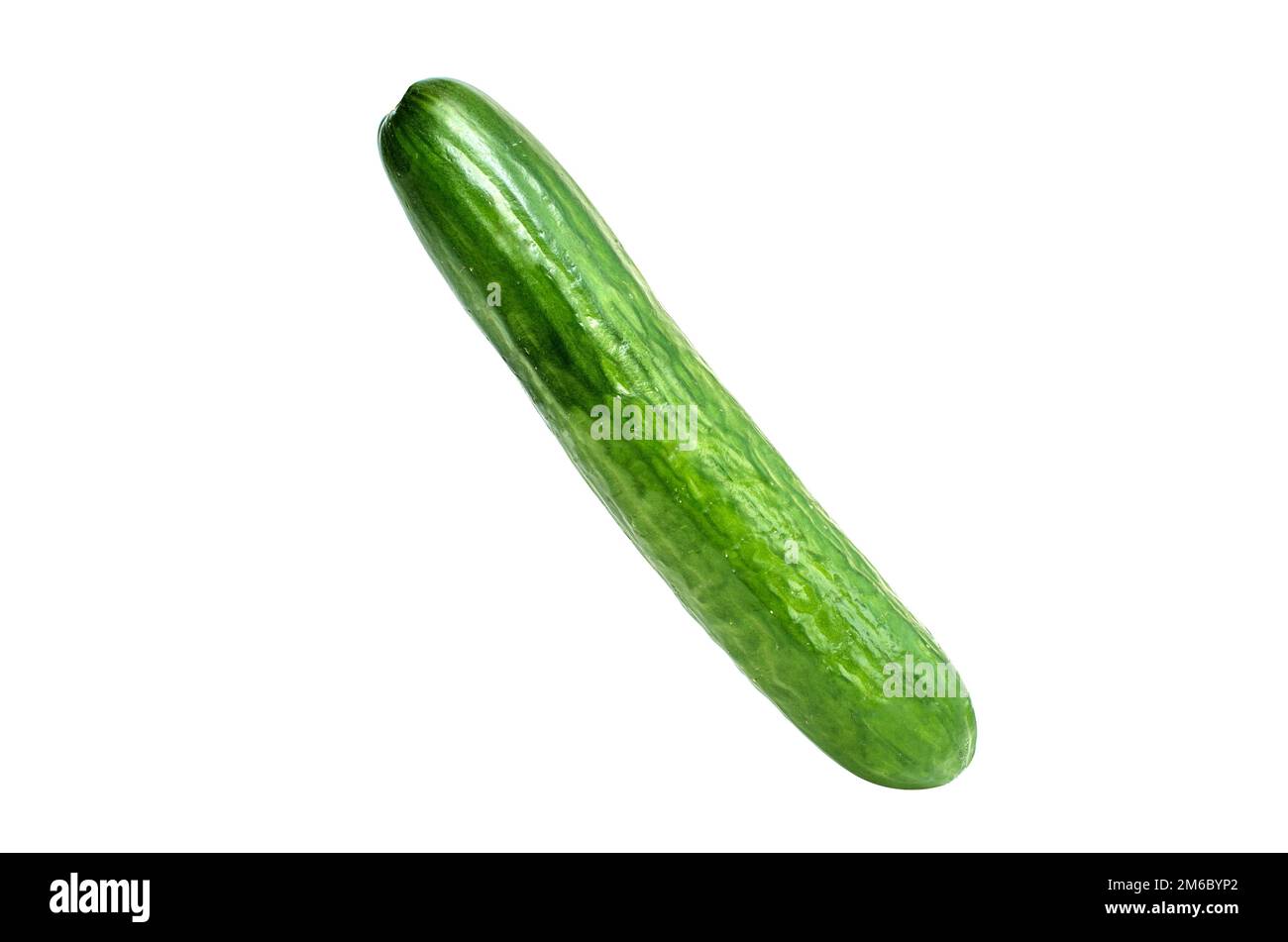 One cucumber isolated on white background Stock Photo - Alamy