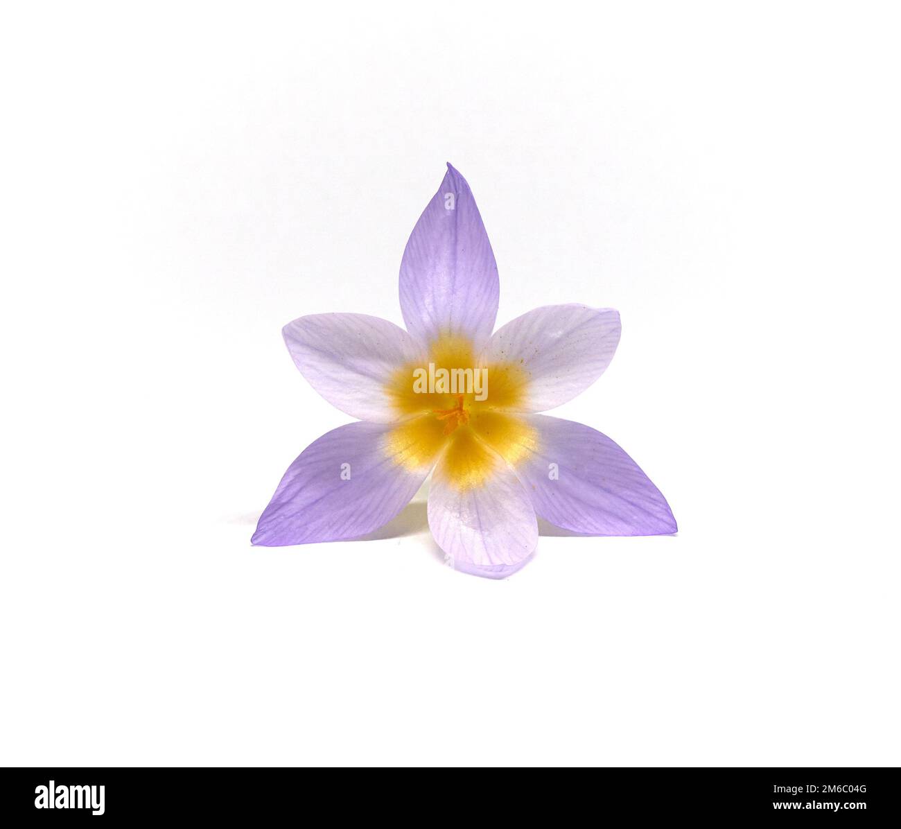 Summer postcard background hi-res stock photography and images - Alamy