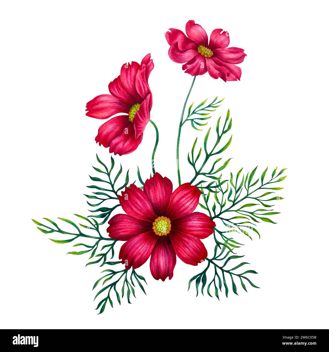 Watercolor hand drawn cosmea flowers 2023 trendy color viva magenta and ...